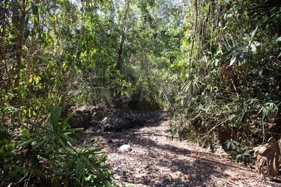 Alfred Caves (Diglipur) - Go2Andaman 2025 Tourist Guide Alfred Caves (Diglipur) - Go2Andaman 2025 Tourist Guide